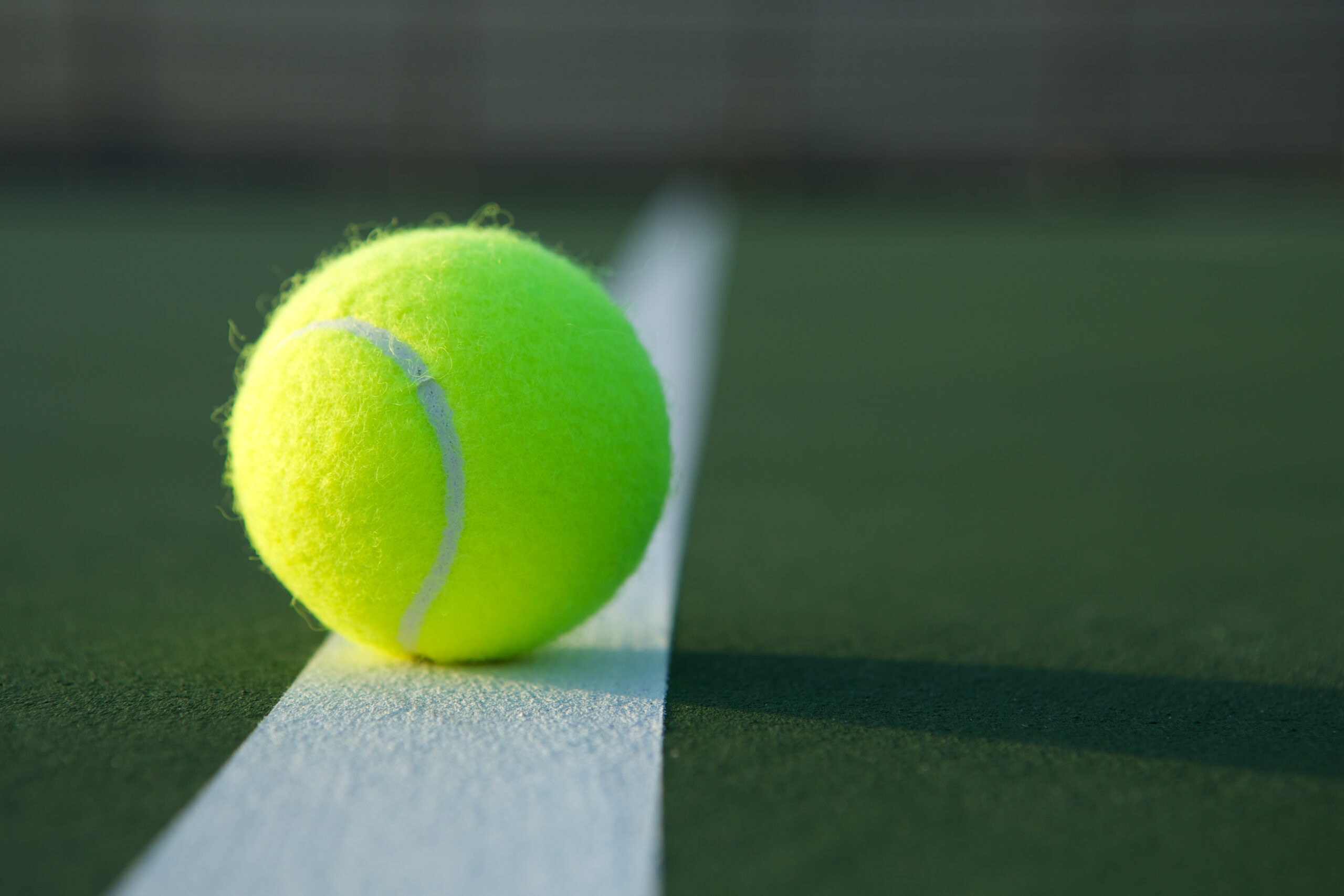 Preps Notebook: Free State captures tennis opener; Hale shines at Great ...